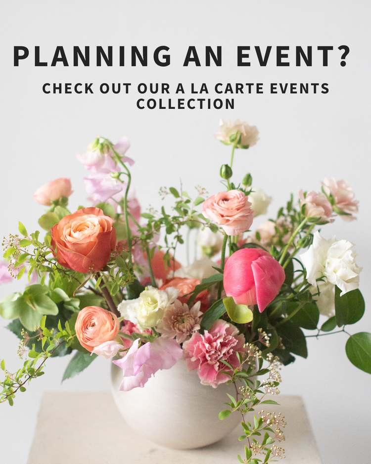 Flowers to Celebrate Everyday | Online Flower Shop – May Flowers